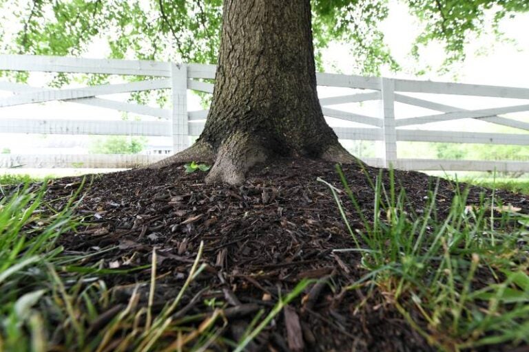 Root Barrier Systems installation in San Antonio, TX